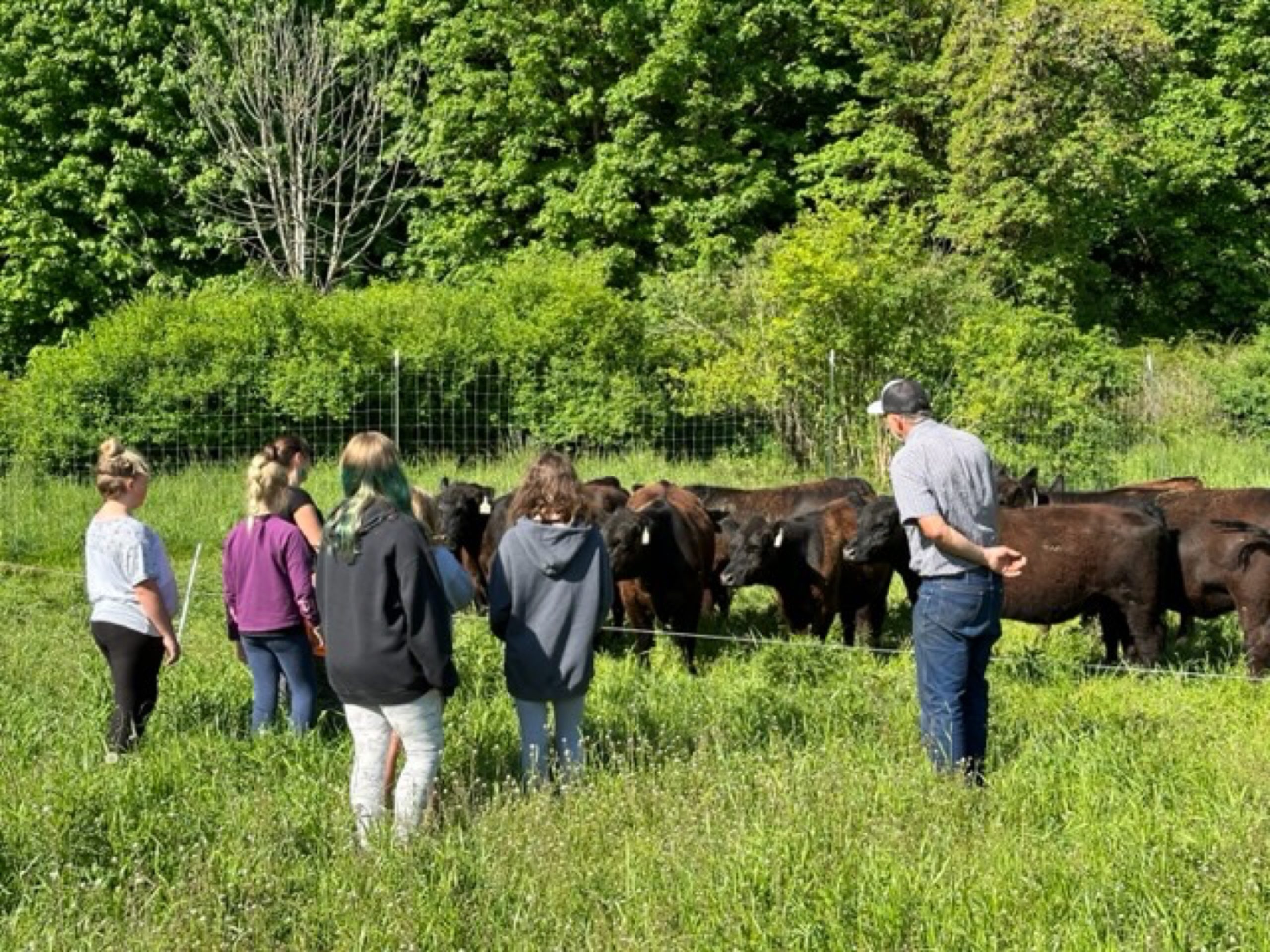 Inspiring a love of place - Field trips to the farm - Wild Edge Farm